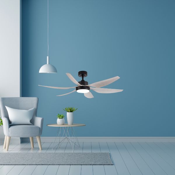 6-Blade Fan – Homeapp.com.sg